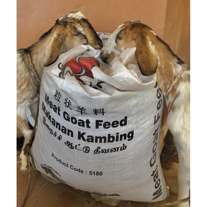 1KG Dedak Penggemuk Ternakan (Kambing, Itik, Ayam, Lembu, Angsa, Burung ...