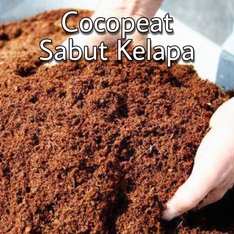 Sabut kelapa/semaian/cocopeat / tanam pokok / garden/growing media ...