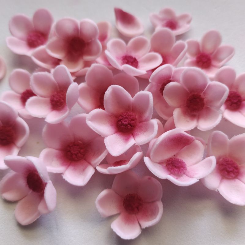 Edible Gumpaste Sugarflower Custom Mini Blossom Set | Shopee Malaysia