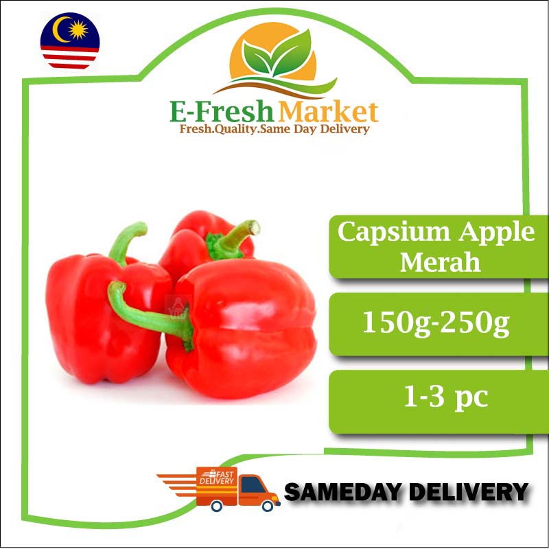 🔥Lowest Price🔥Fresh Vegetable Cili Epal Hijau / Green Capsicum 青灯笼椒 ...