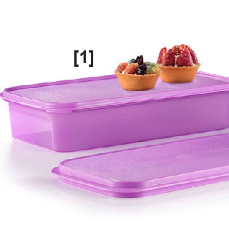 [Tupperware Level] Shallow Carry All (3.2L)/ Deep Carry All (9.0L ...