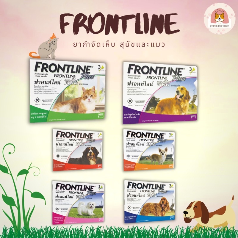 Frontline Plus | Flea And Tick Drops In Dogs And Cats (3 Tubes Per 1 ...
