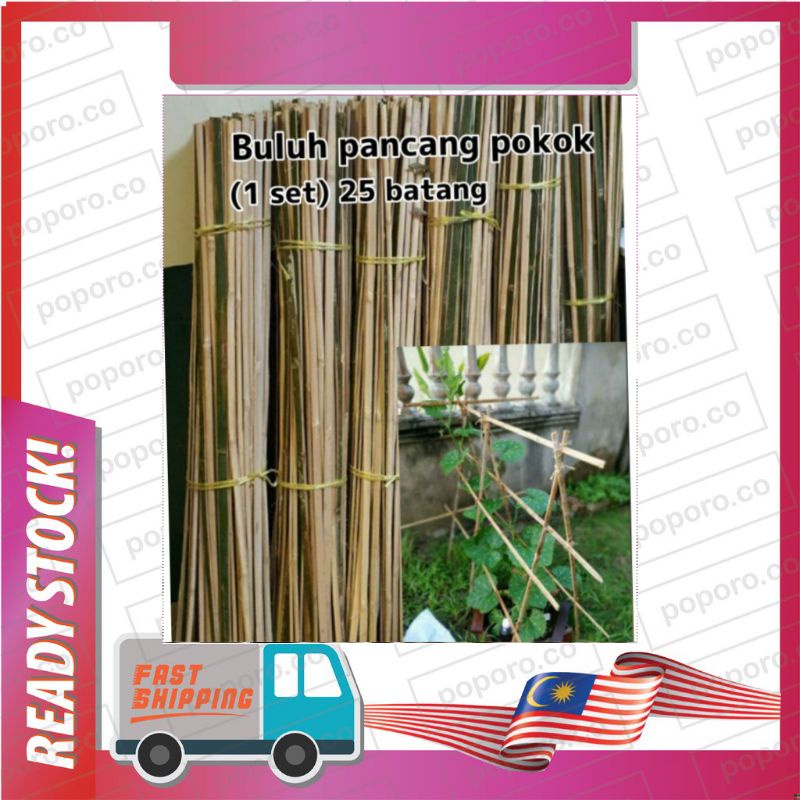 Batang Buluh Pancang Pokok (25 batang) | Shopee Malaysia