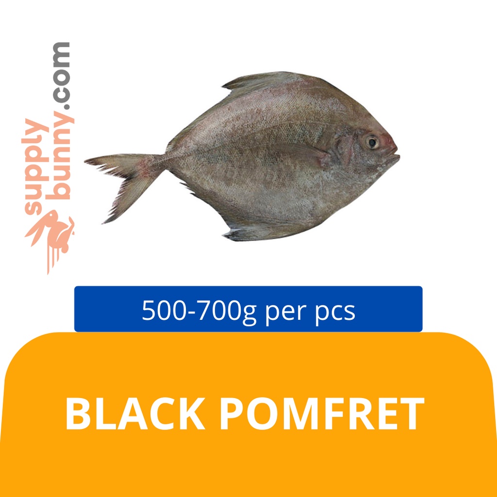 KLANG VALLEY ONLY Black Pomfret WR (500g-700g/pack) 黑昌鱼 Ikan Bawal Emas Vacuum Frozen Seafood ...