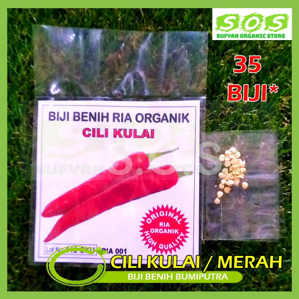 SOS - 35 BIJI BENIH CILI KULAI / CILI MERAH - RIA ORGANIK | Shopee Malaysia
