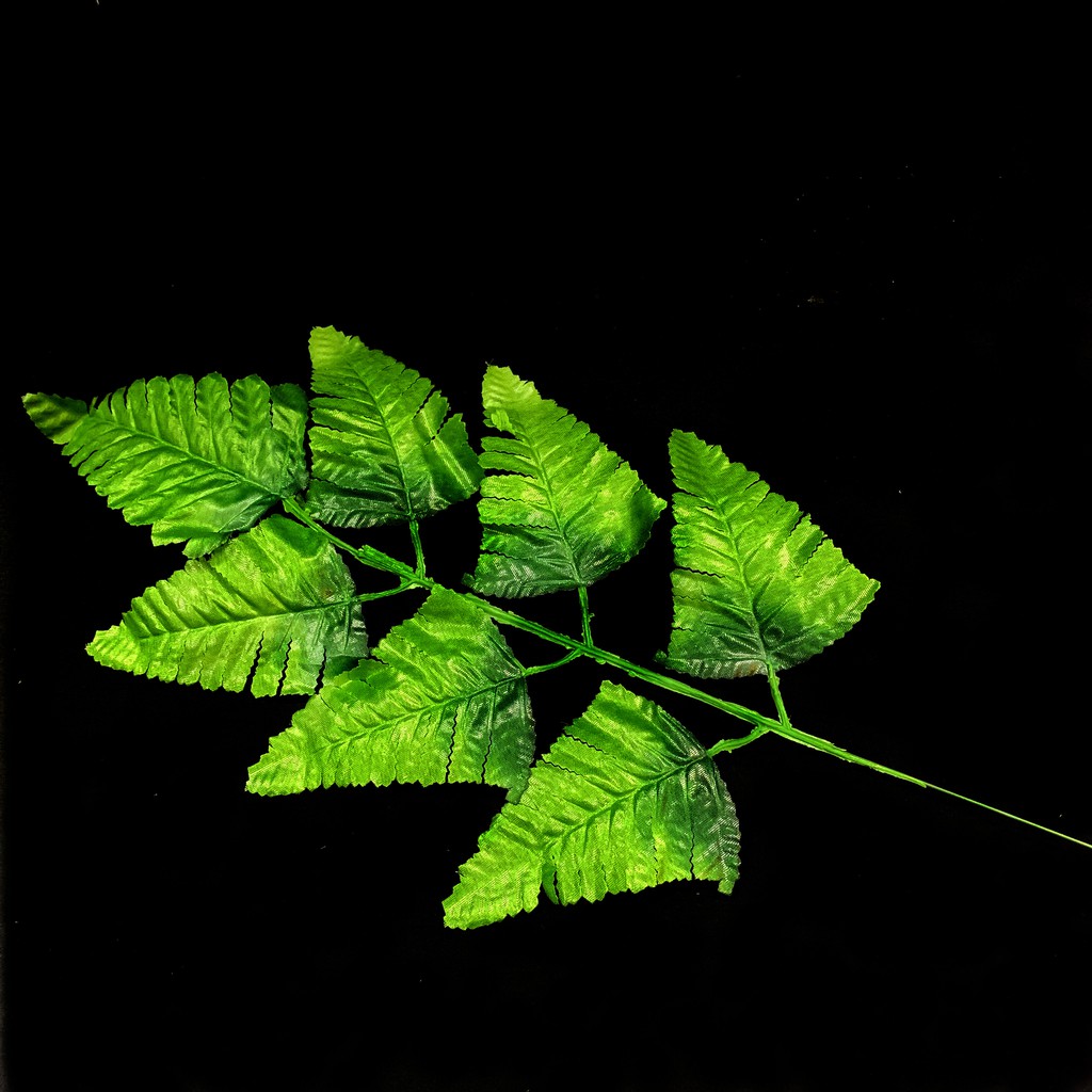 🌿Artificial Daun Paku Pakis🌿 | Shopee Malaysia