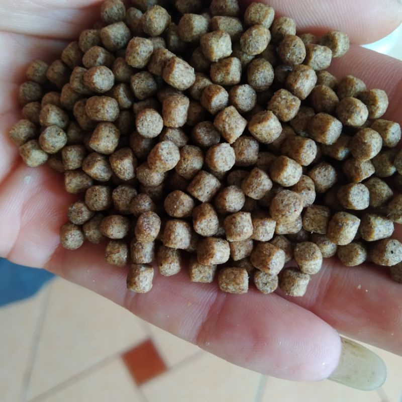 (PACK Of 600 GAM) KOI FISH bran AMERICAN FEED 40% PROTEIN - INCREASES ...