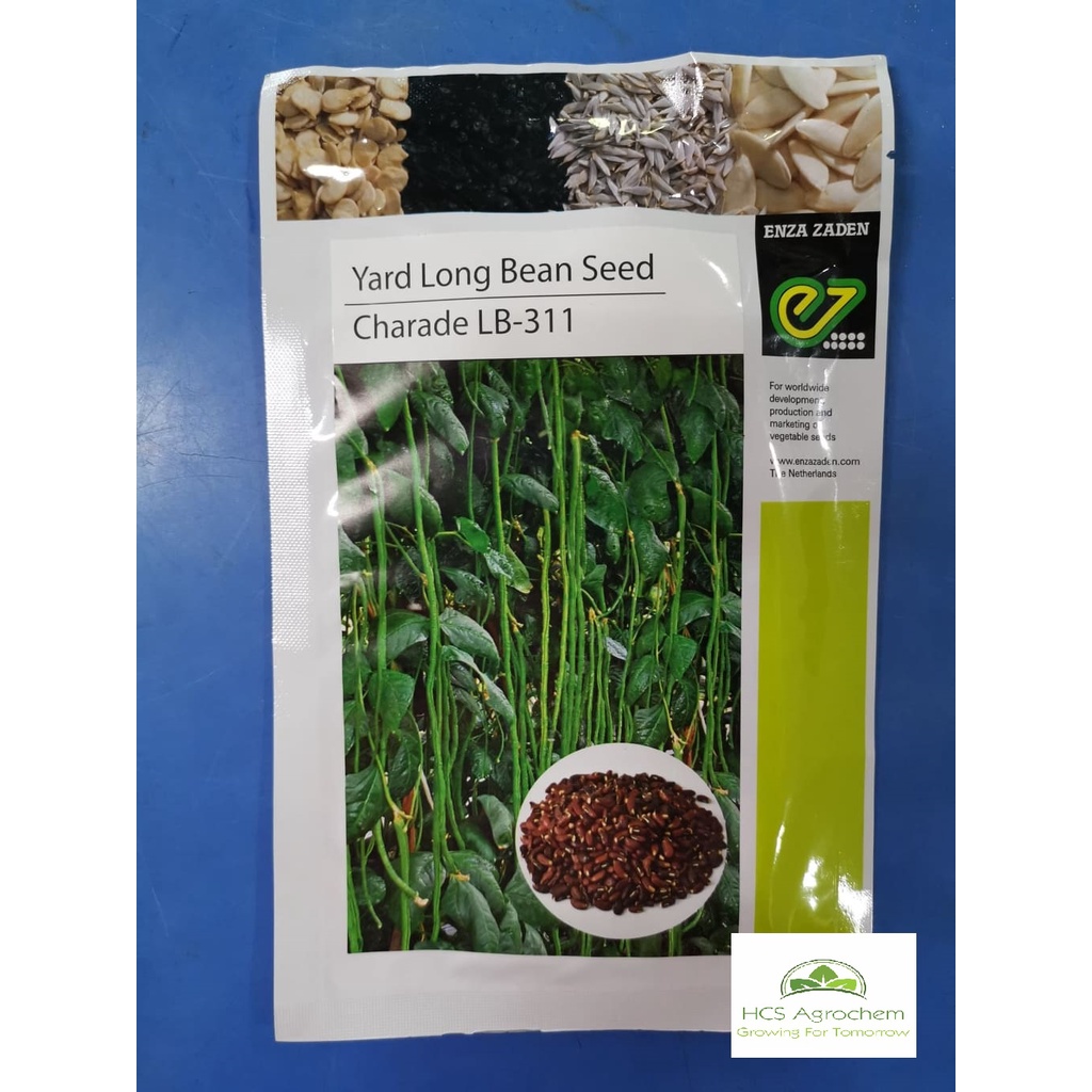 (+-100gm) Yard long bean seed/kacang panjang Enza Zaden Charade LB-311 ...