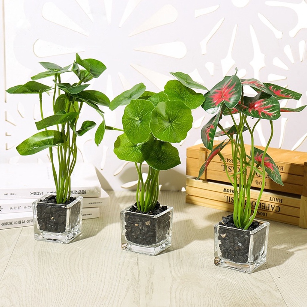 Artificial Caladium with Glass Pot / Potted Artificial Caladium ...