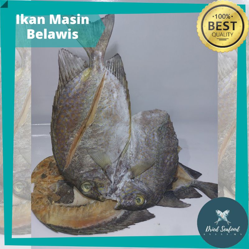 IKAN MASIN BELAWIS 1KG ( KURANG GARAM ) | Shopee Malaysia