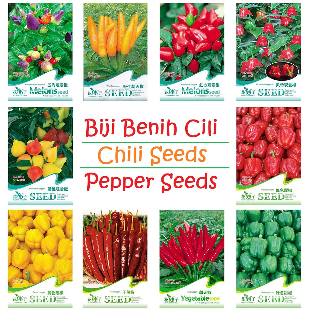 Benih Cili Pedas Pelbagai Jenis 11 Chili Seed Crazy Spicy Chili Pepper ...