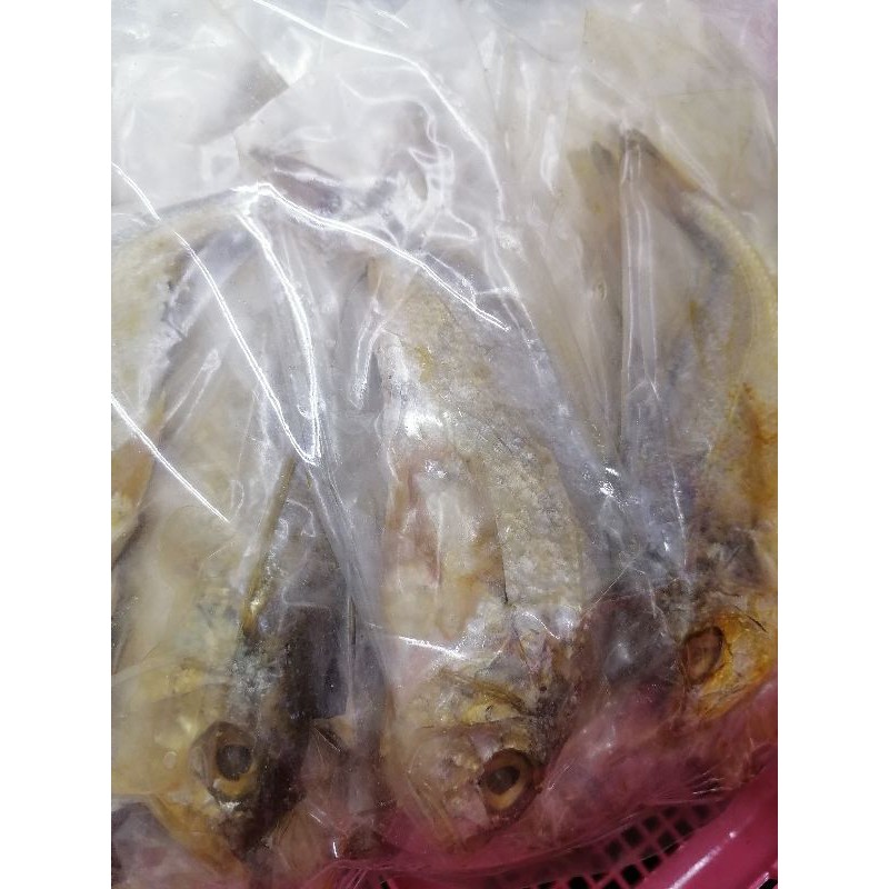 IKAN GELAMA JERUK GELAMA BASAH HALAL | Shopee Malaysia
