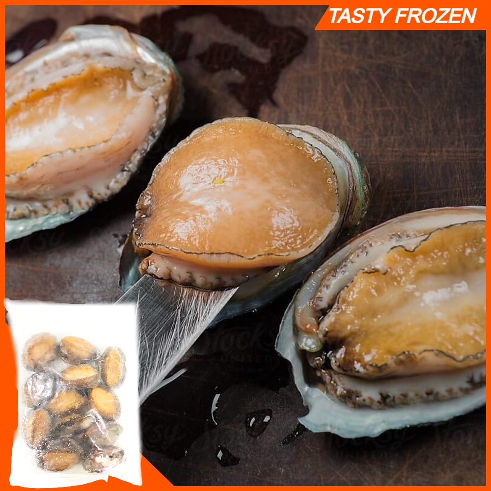 [TASTY FROZEN] Frozen Abalone With Shell 冷冻鲍鱼(带壳) 12pcs | Shopee Malaysia