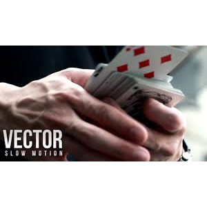 Patrick Kun - Vector | Shopee Malaysia