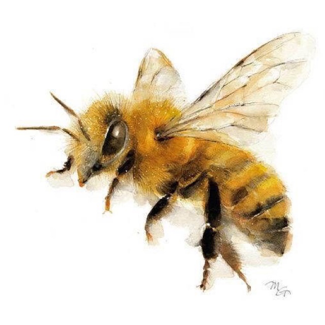 SPRAY LEBAH/PENYENGAT - Camay Repellent | Shopee Malaysia