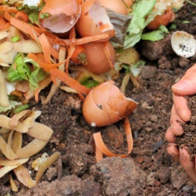 400g BAJA HUMUS SUBUR ORGANIK 8:8:8:3 tabur 1cup 2x sebulan | Shopee ...