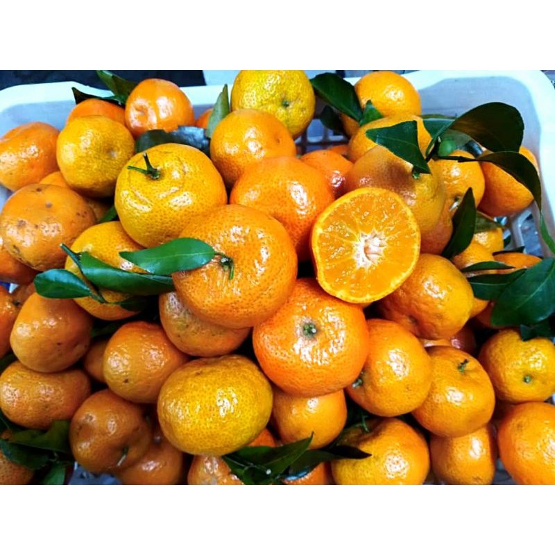 STRONG AROMA MANDARIN (+/-750g) | Shopee Malaysia