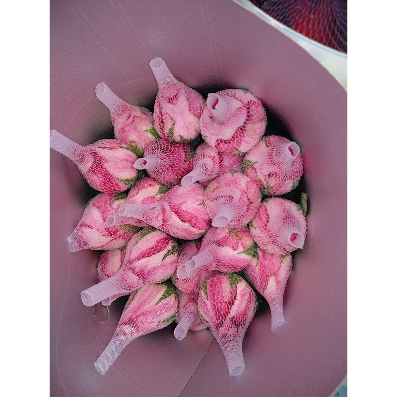 🌹Ready Stock 🌹 Roses 🌹20stalks🌹 Fresh Flower From Cameron Highlands 🌹🌹 ...