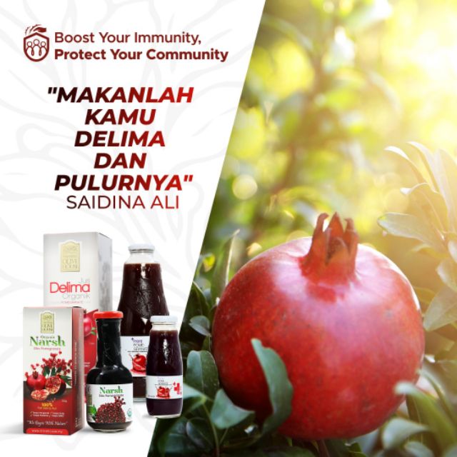 🔥PATI DELIMA & JUS DELIMA 🔥 DIJAMIN ORGANIC 💯 NEGARA ( USDA ) 🥇 ...