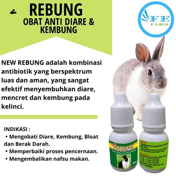 Anti-diarrhea And Bloated Rabbit Medicine Bamboo Shoots 10ml | Shopee ...