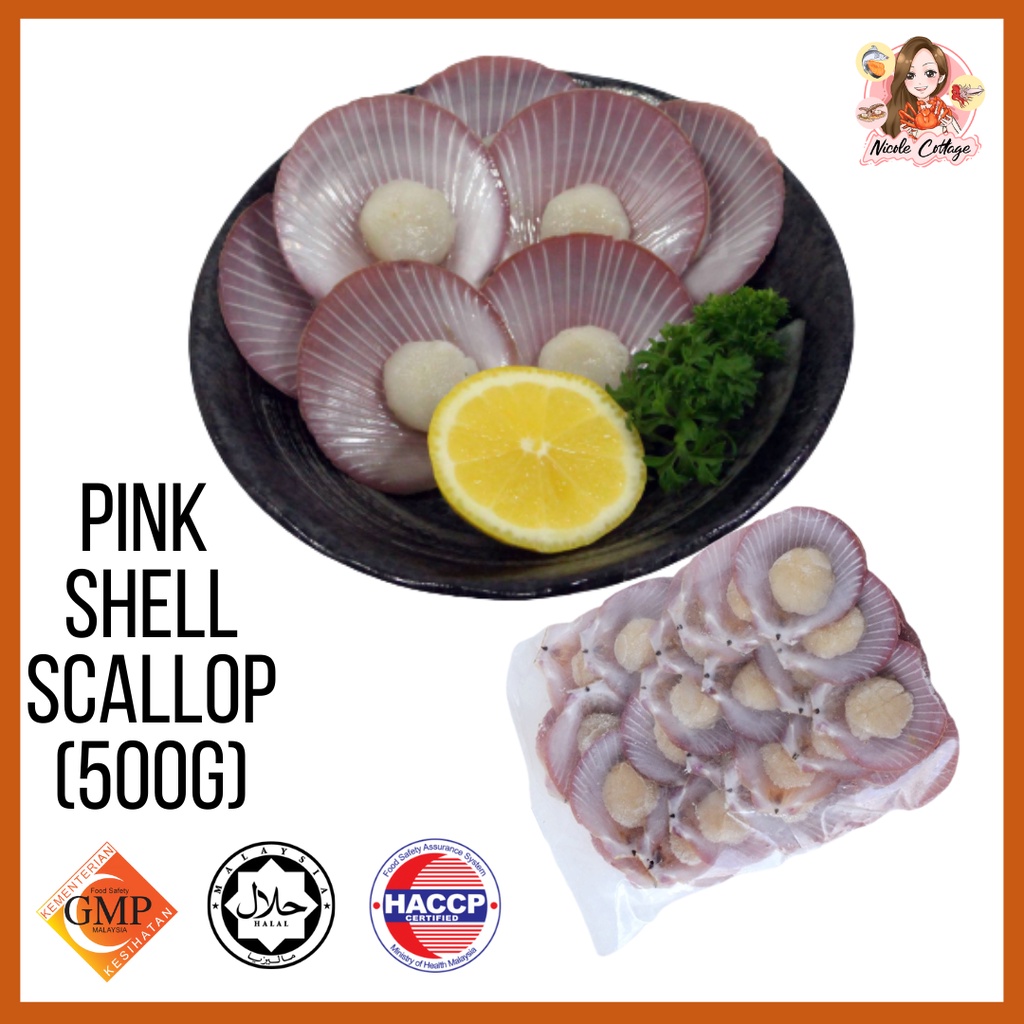 Frozen Scallop/Scallop Half Shell 500G | Shopee Malaysia