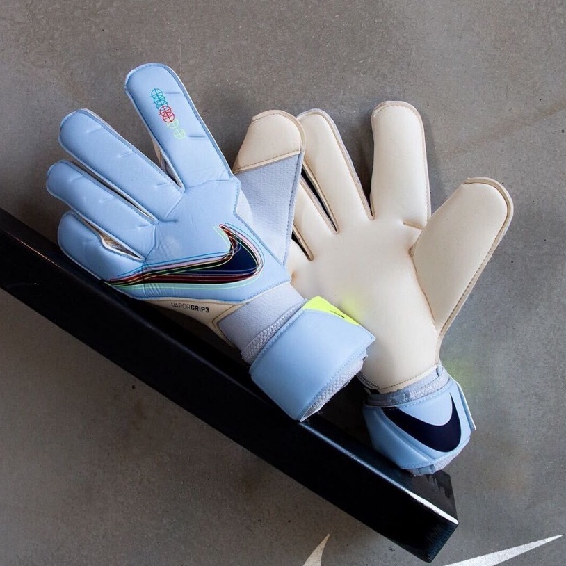 NIKE GK VG3 GOALKEEPER GLOVE PROGRESS PACK | Shopee Malaysia