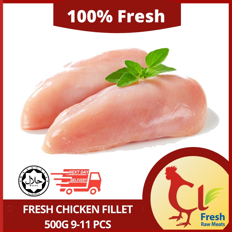 Fresh Chicken Fillet (500 gram) | Shopee Malaysia