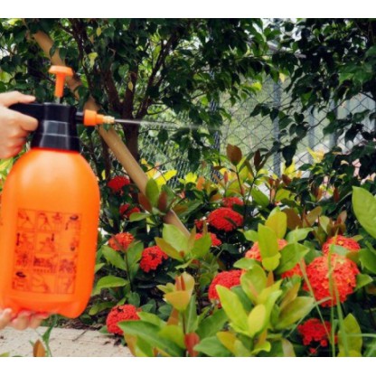 Spray Racun/ 3Litre Multi-Purpose Pressure Sprayer Hand Pump Sprayer ...