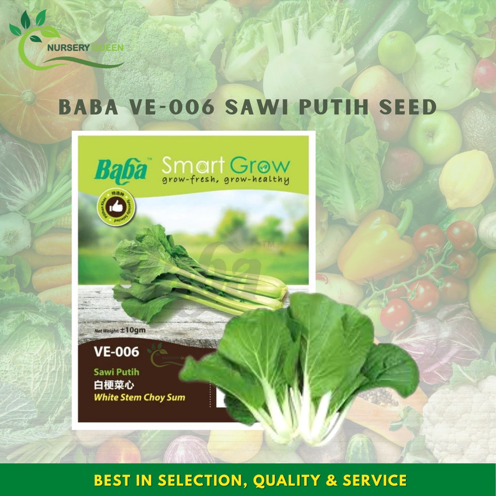 NK Baba Seed VE-006 Sawi Putih Seed Smart Grow Vegetable Seed Garden ...