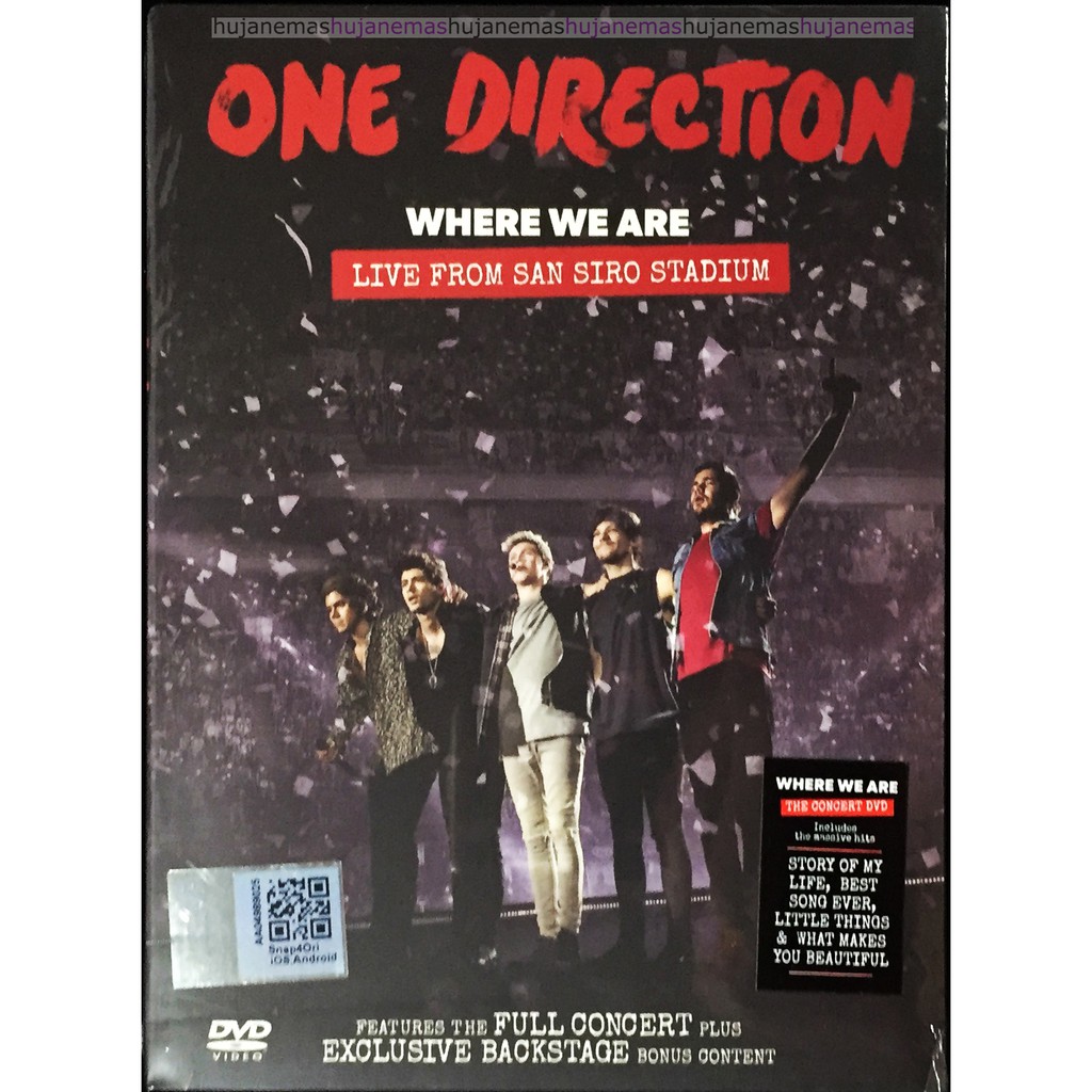 ONE DIRECTION 1D - Where We Are - Live from San Siro Stadium 2014 ...