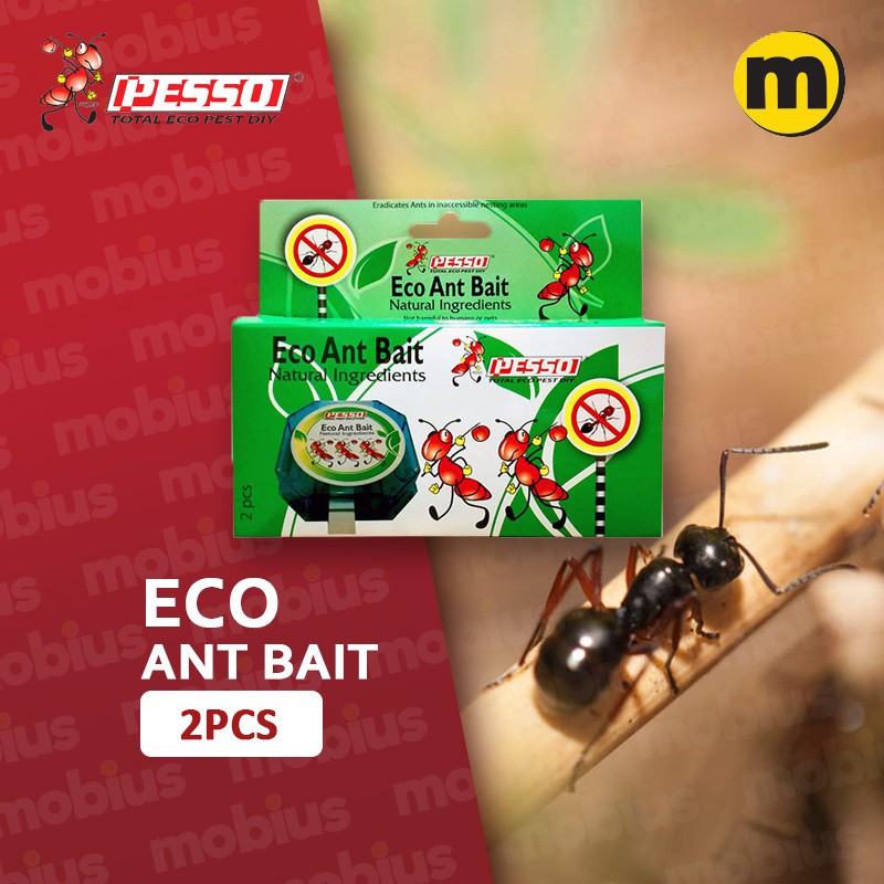 Kleenso Pesso Eco Ant Bait Natural Ingredients 2pcs Umpan Semut Bahan ...