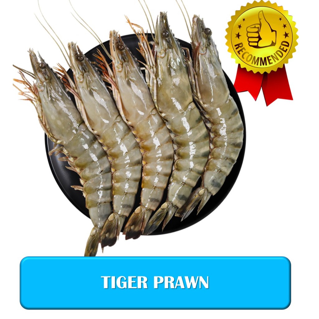 Sea Tiger Prawn 700g +- Udang Harimau Laut 700g +- 虎虾 700g +- | Shopee ...