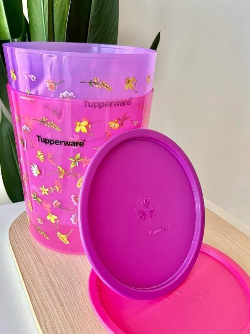 Tupperware Royal Rose or Spring Blooms Maxi Canister 5.5L ( Airtight Liquid Tight Giant Canister ...