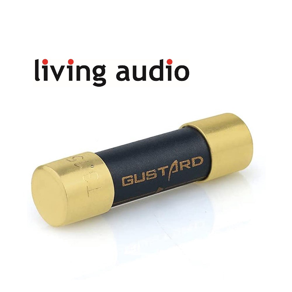 GUSTARD HIFI Replacement Fuse Nano Alloy High End Fuse X26 A26 R26 X16 ...
