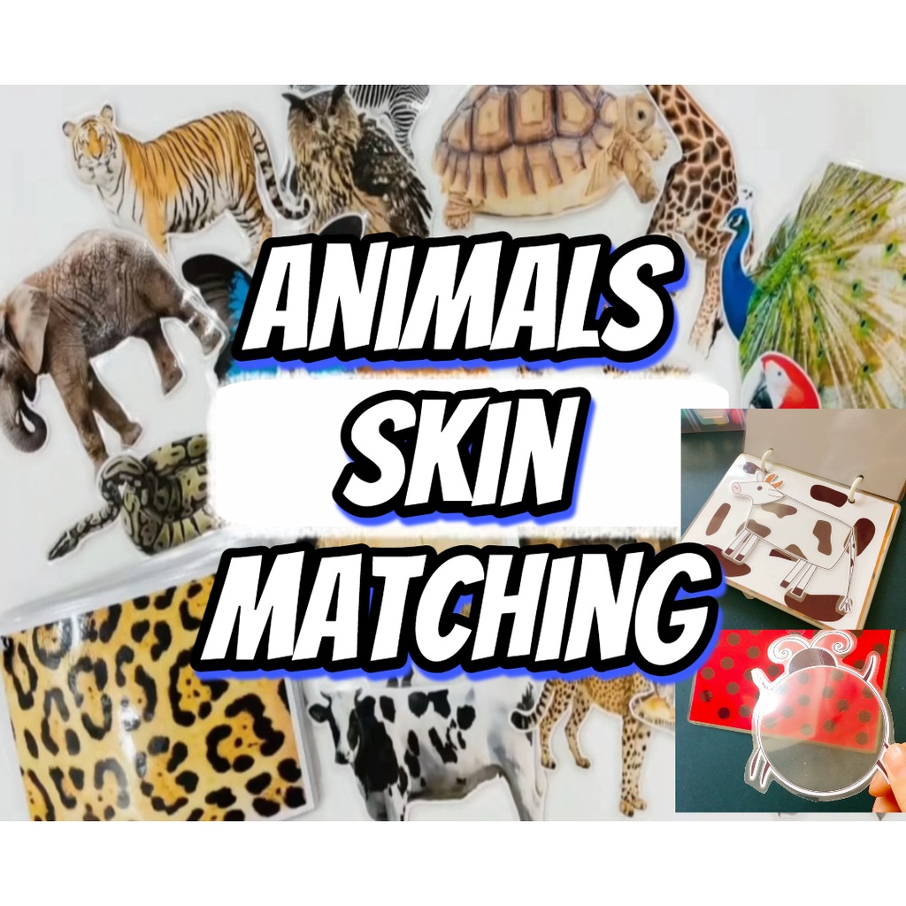 PDF] Animals Skin Matching 3 PDFs Preschool Busy Book Quiet Book Kids ...