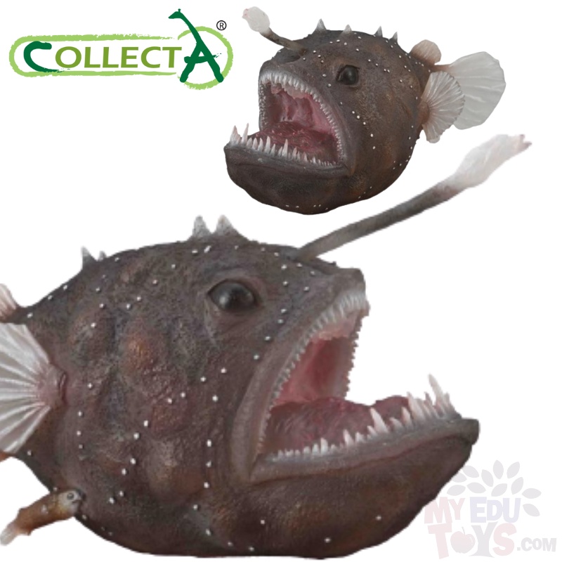 Anglerfish - Collecta 88967 Ocean Sea Life Animal Action Figurines ...