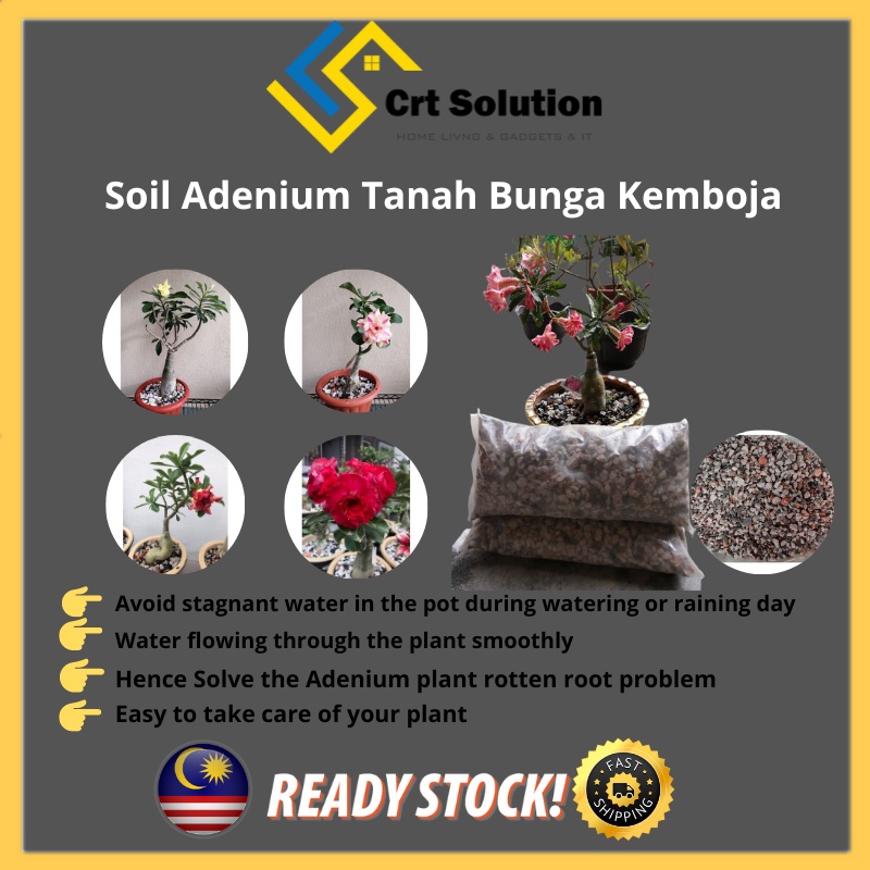 Tanah Khas Tanah Bunga Kemboja Batu Bunga Adenium Orchid Soil Lava ...