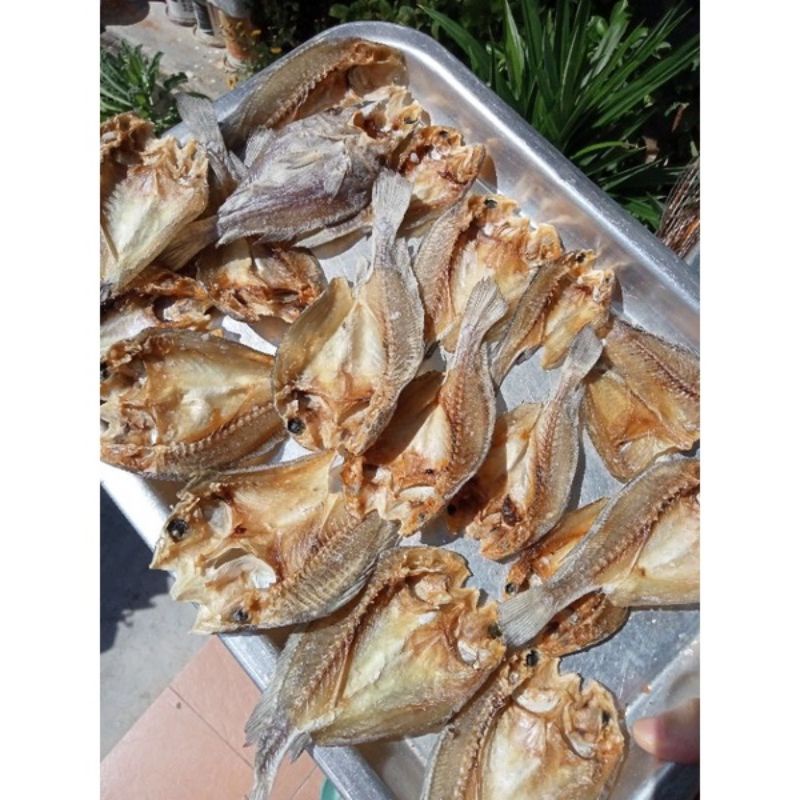 IKAN MASIN GELAMA KERING | Shopee Malaysia