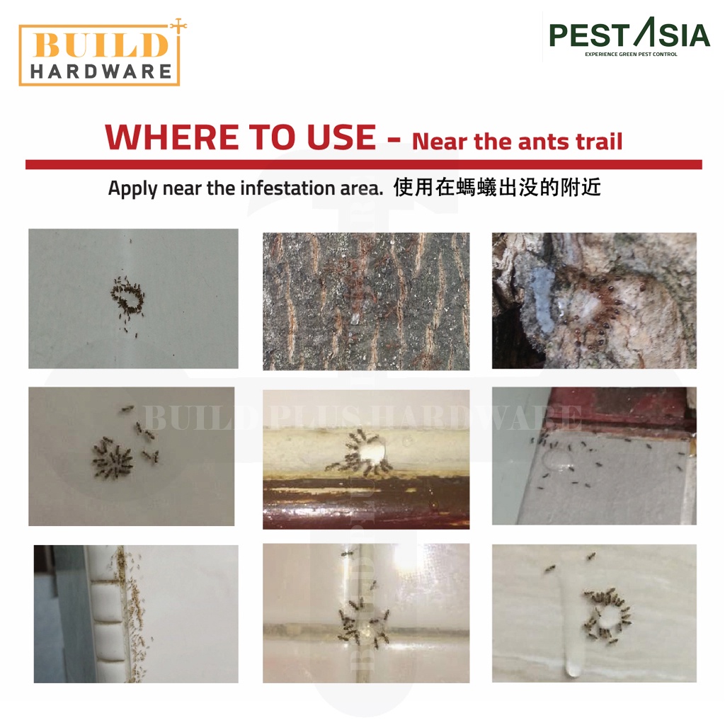 PEST ASIA Ants/Cockroach/Lizard Killing Eco Gel Bait (10g/30g) 天然蚂蚁/蟑螂 ...