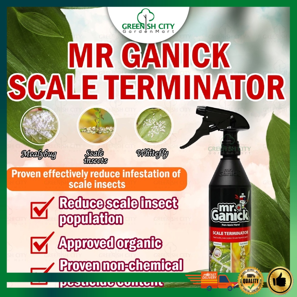 GNC Baba Mr Ganick Scale Terminator Natural Pesticide 500ML MealyBug ...