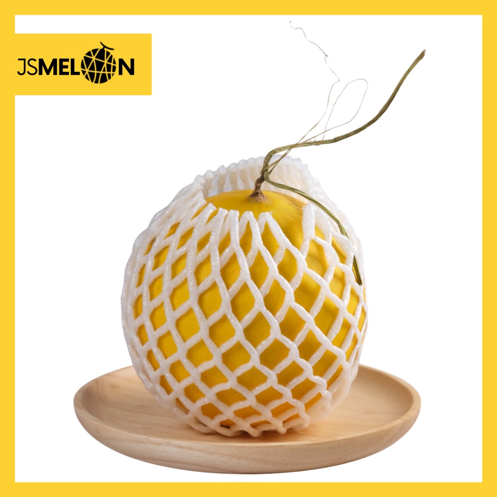 PREMIUM MELON Kulit Kuning Manis Gred Brix 18 Ladang JS Melon Jerat ...