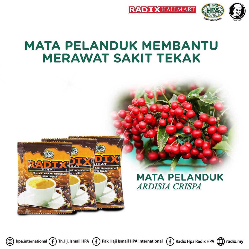 RADIX SIHAT - GULA PERANG🔥LEBIH SIHAT, KURANG MANIS 🔥 | Shopee Malaysia