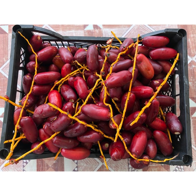 (Ready Stock) Kurma Segar Mesir / Balah Masriyah | Shopee Malaysia