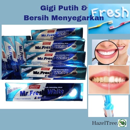 Mr.Fresh & White EXTRA Cool Mint Toothpaste Ubat Gigi 175g (Improve ...