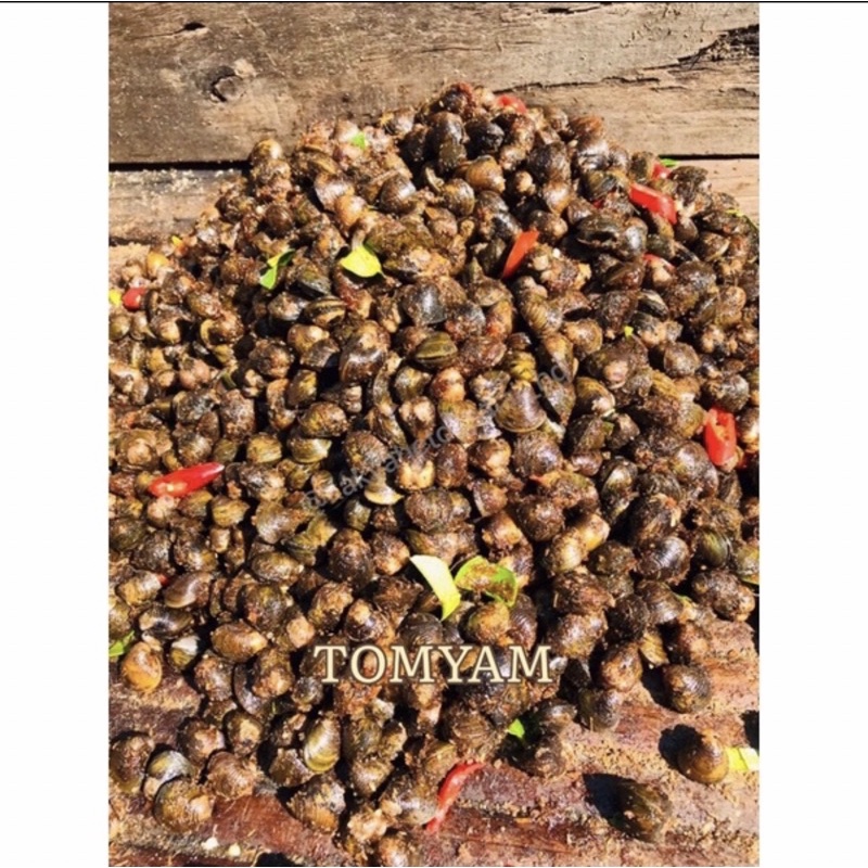 ETOK SALAI KAKYAH (wajib add on ice box) | Shopee Malaysia