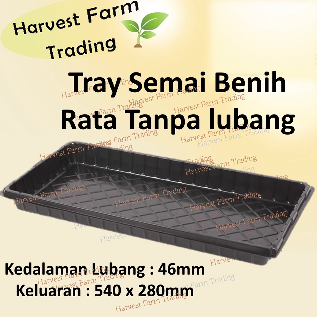 Tray Rata seedling tray semaian benih bekas semaian biji benih tapak ...