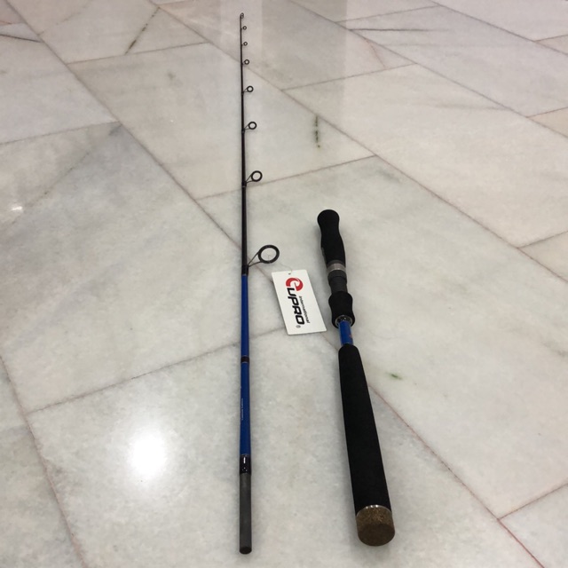 EUPRO SALTY FIGHTER 6kaki pe0.8-2 max 80g spinning rod Eupro Light Jig ...