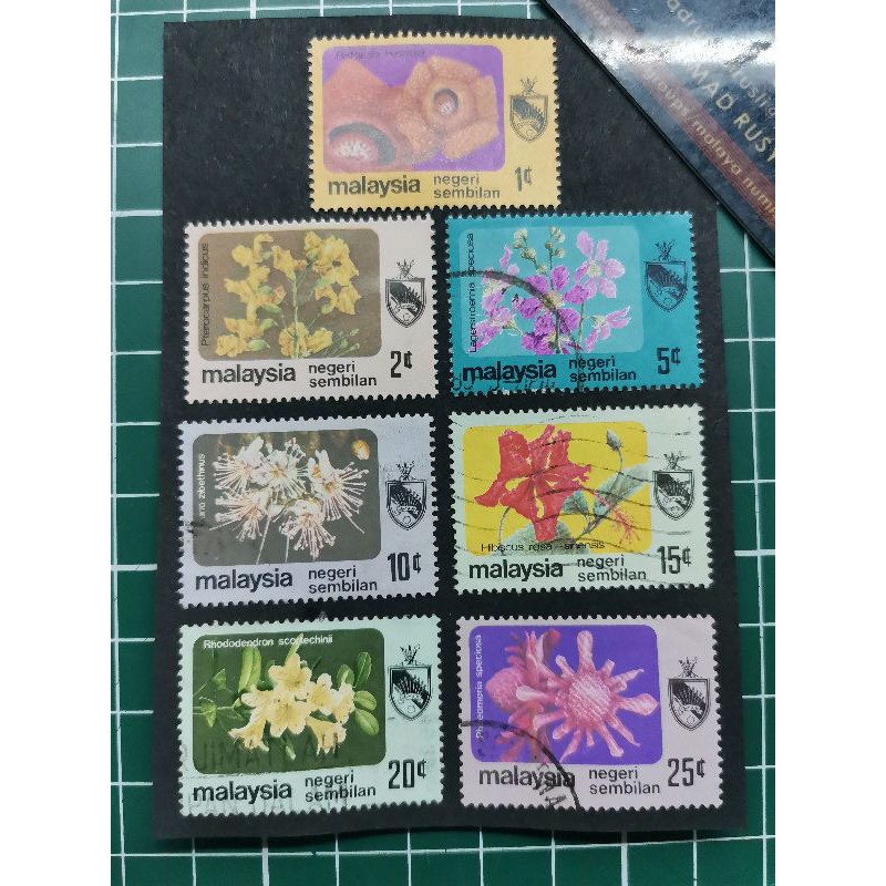 1979 Setem Flowers Negeri Sembilan Malaysia | Shopee Malaysia