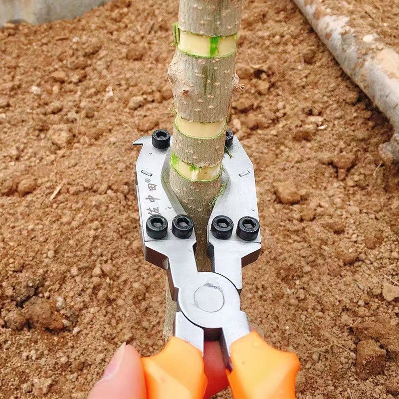 Tree bark ring cutter Fruit tree ring cutting knife Tut Pokok Cutter ...