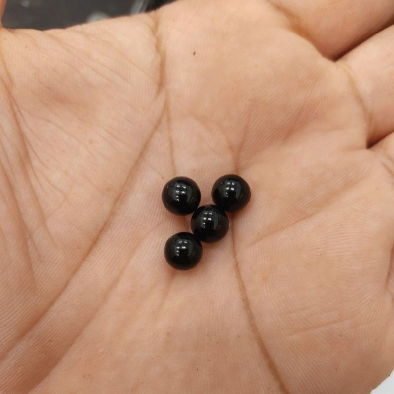 #ORIGINAL Mutiara Hitam Sabah (Belum Ditebuk) | Shopee Malaysia